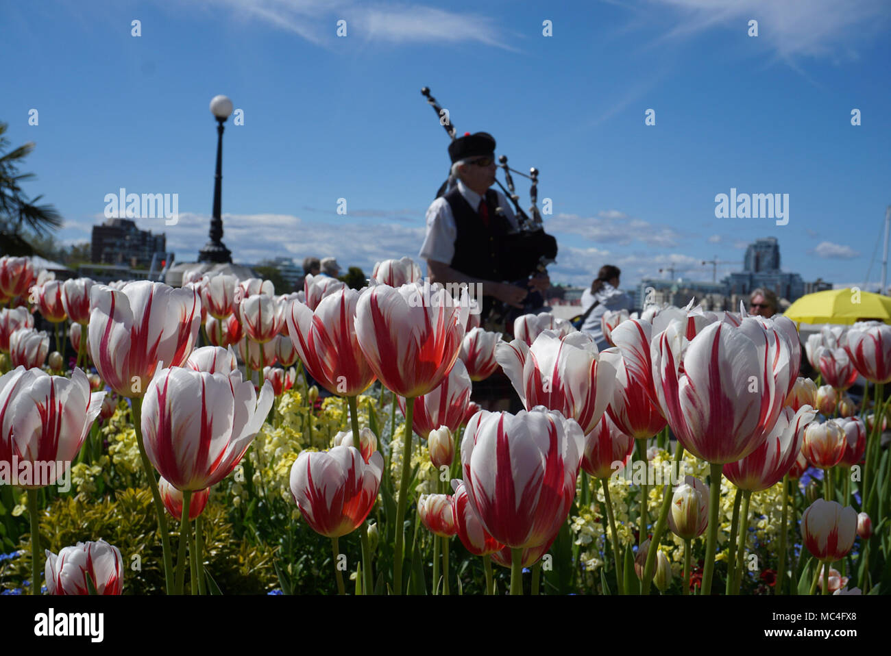 Western provinces of canada hi-res stock photography and images - Alamy