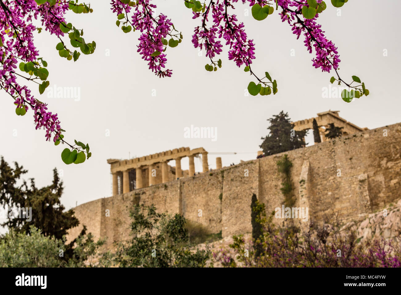 View of the Acropolis from Dionisiou Areopagitou street in Athens ...