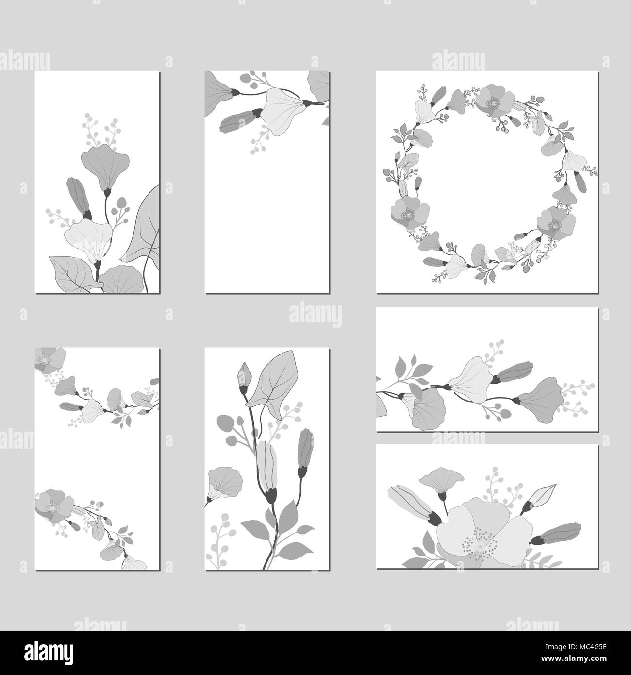 Gold wild flower Black and White Stock Photos & Images - Alamy