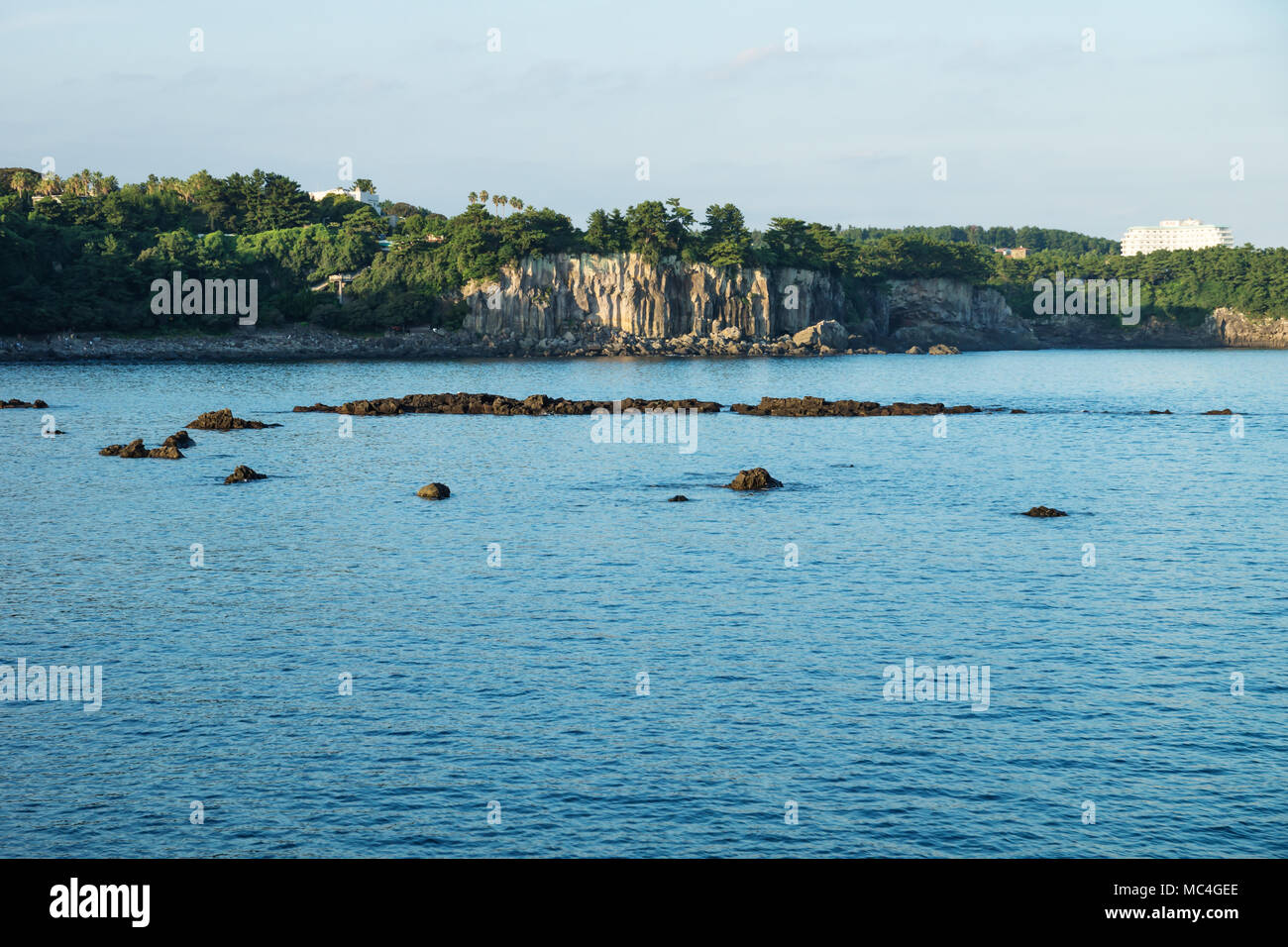 Cliff formation surrounded by forest along the coast of Seogwipo, Jeju ...