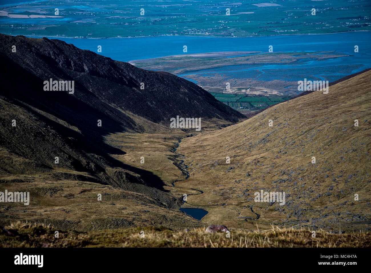 Summit of Caherconree looking south to Tralee Bay Stock Photo - Alamy
