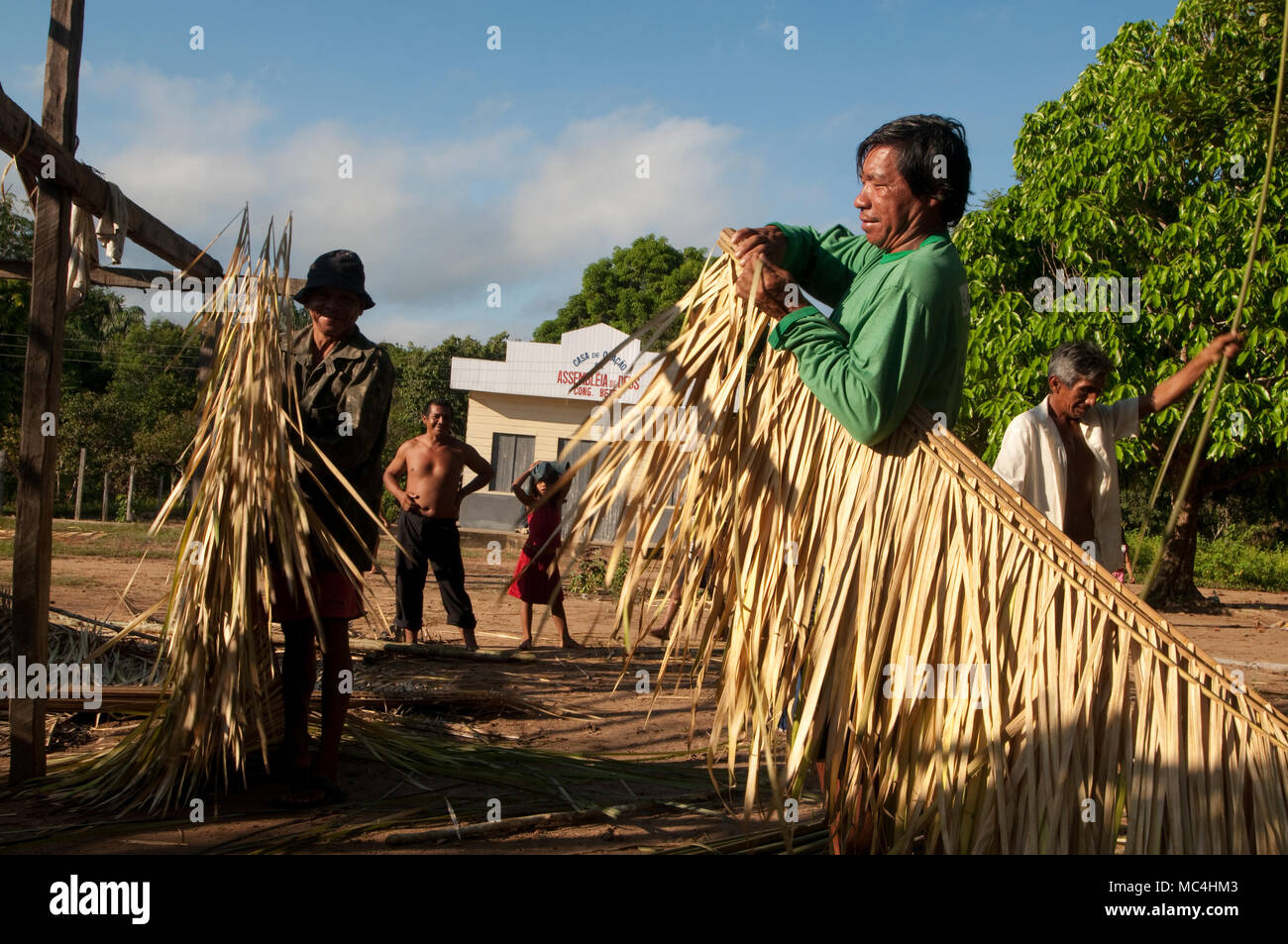 Tucuma do para hi-res stock photography and images - Alamy