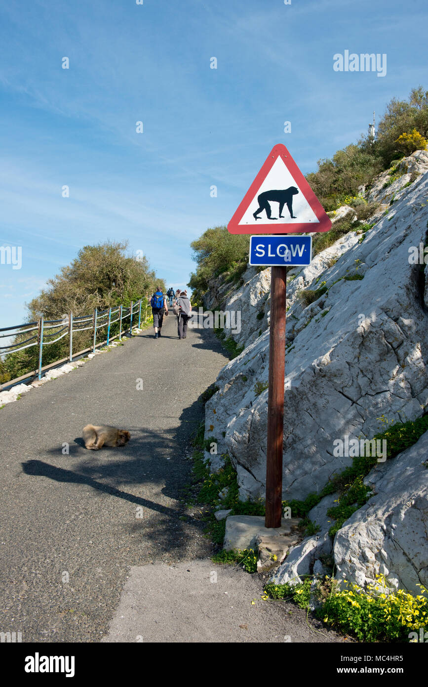 Gibraltar spain sign hi-res stock photography and images - Alamy