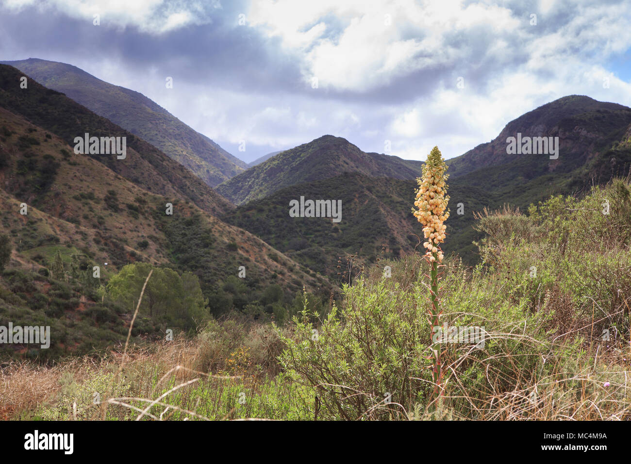 Santa ana mountains hi-res stock photography and images - Alamy