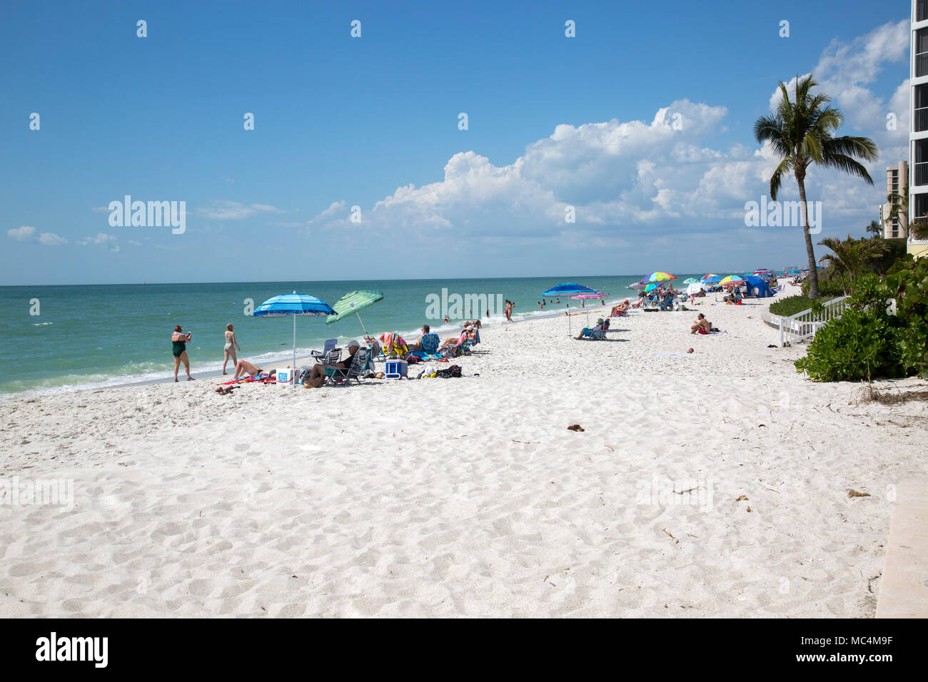 Vacationers in Naples, Florida enjoying beach activities. Sunbathing ...