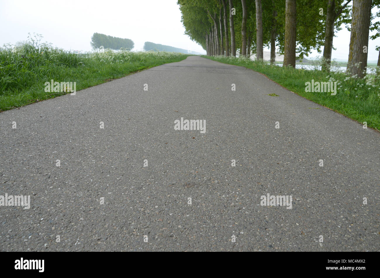 Low View Angle Of A Street Stock Photo - Alamy