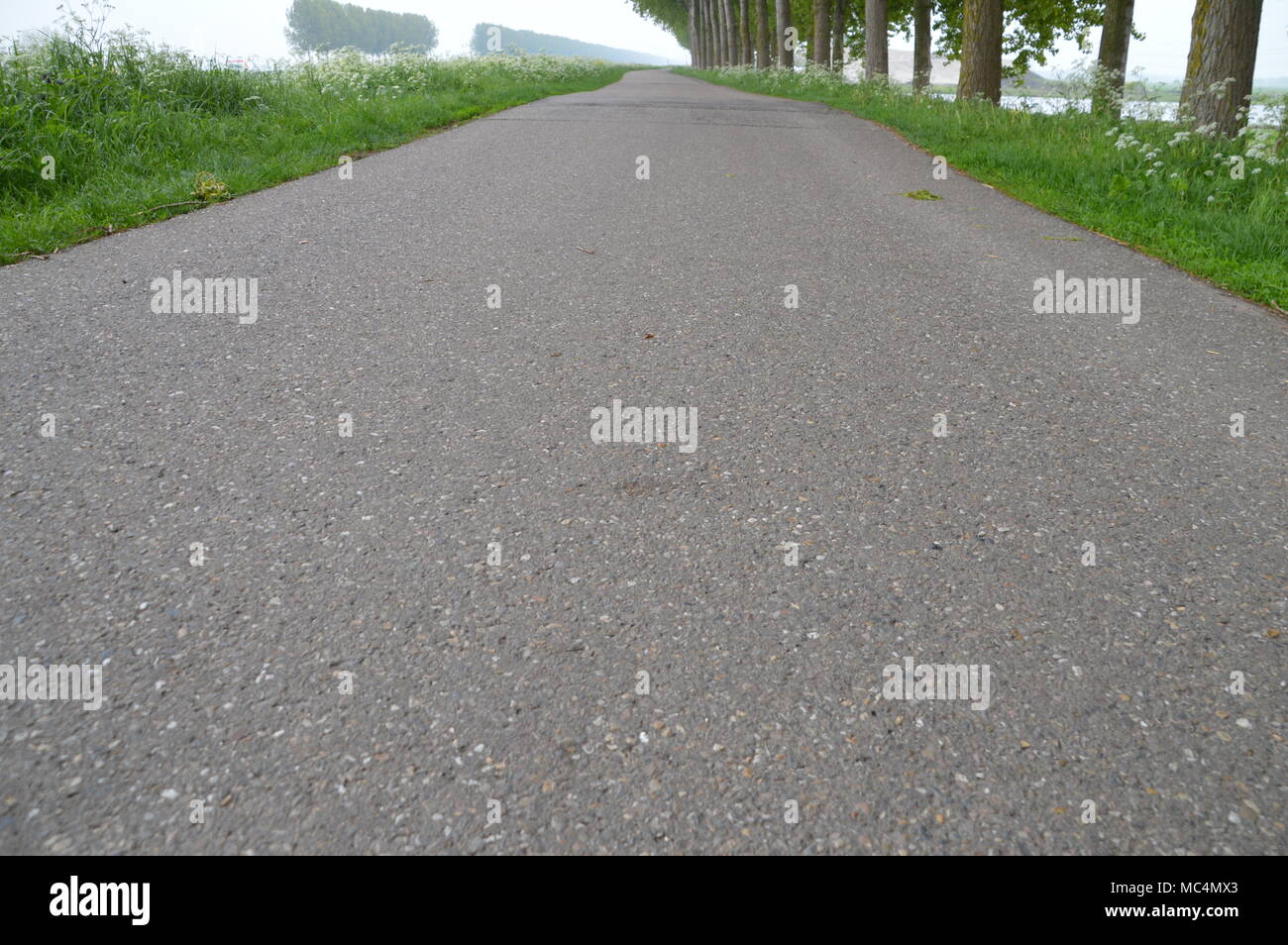 Low View Angle Of A Street Stock Photo - Alamy