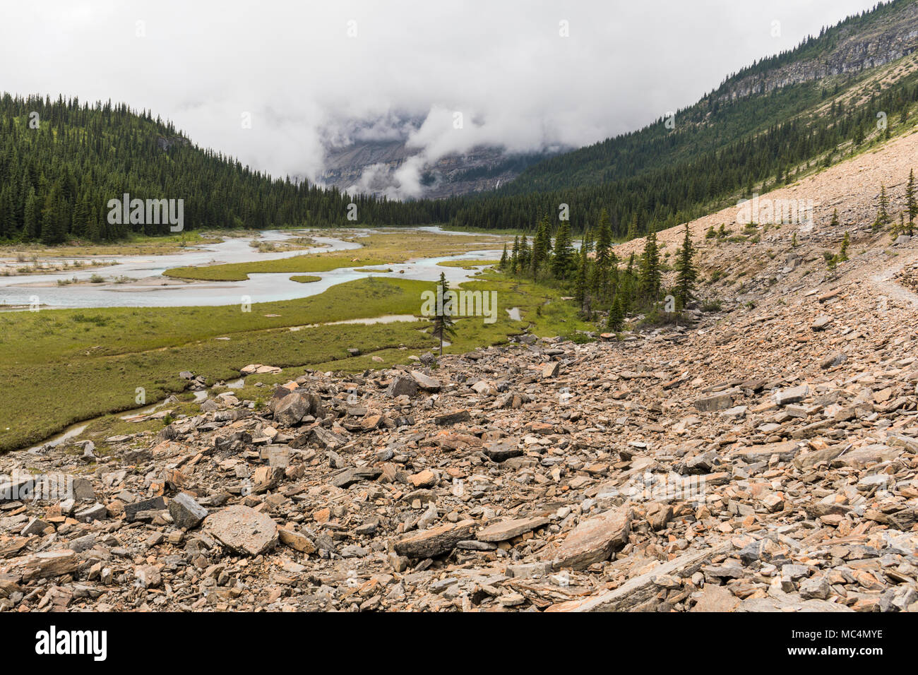 Braided river braided river hi-res stock photography and images - Alamy
