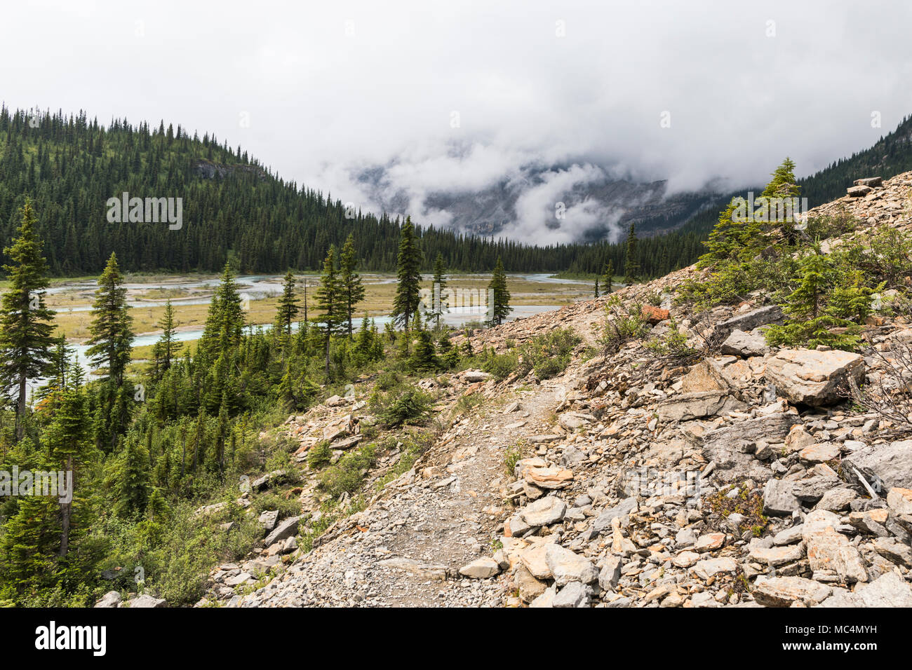 Braided river hi-res stock photography and images - Alamy