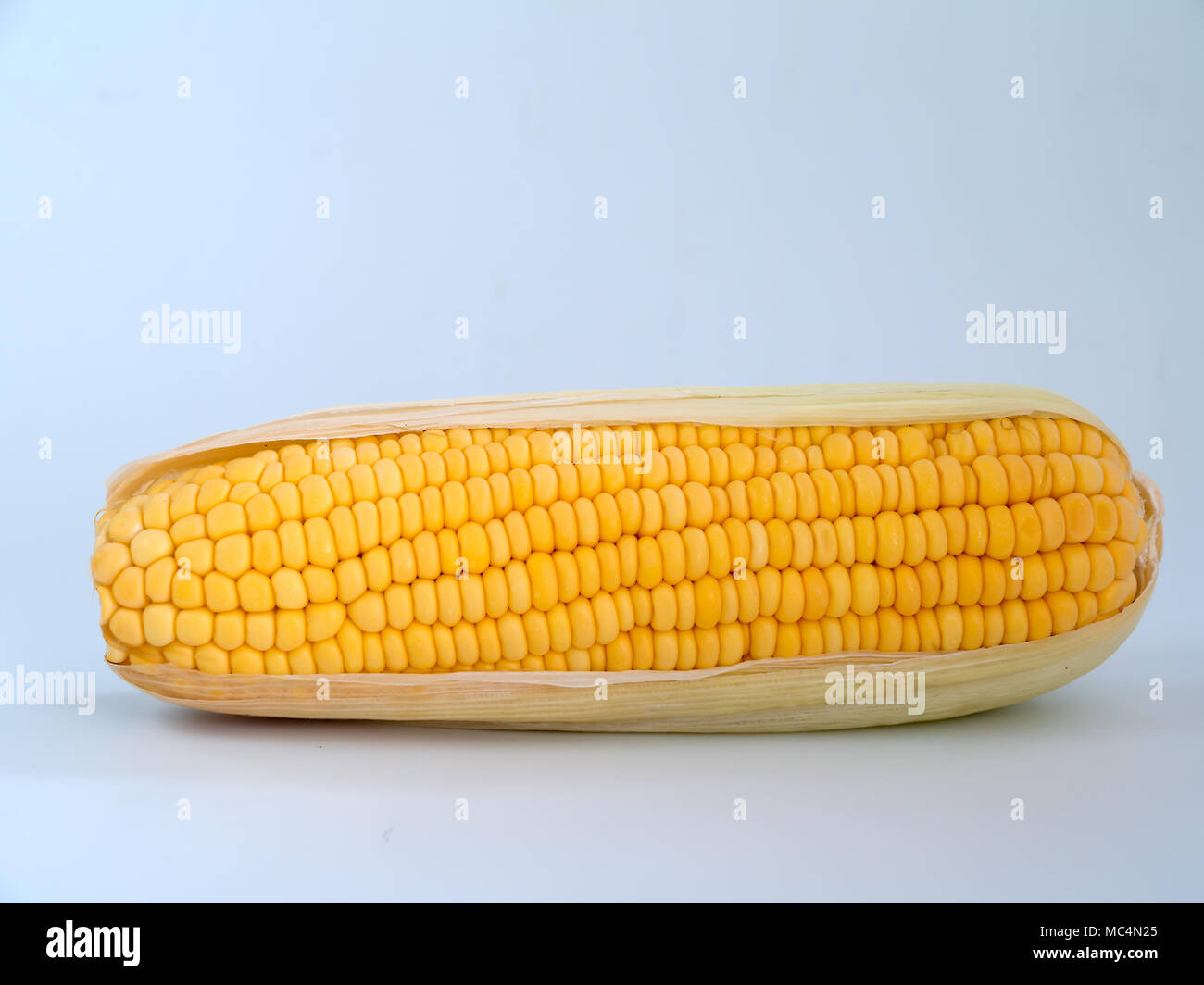 The fruit is a pod corn , The sheath was covered with a thin layer of ...