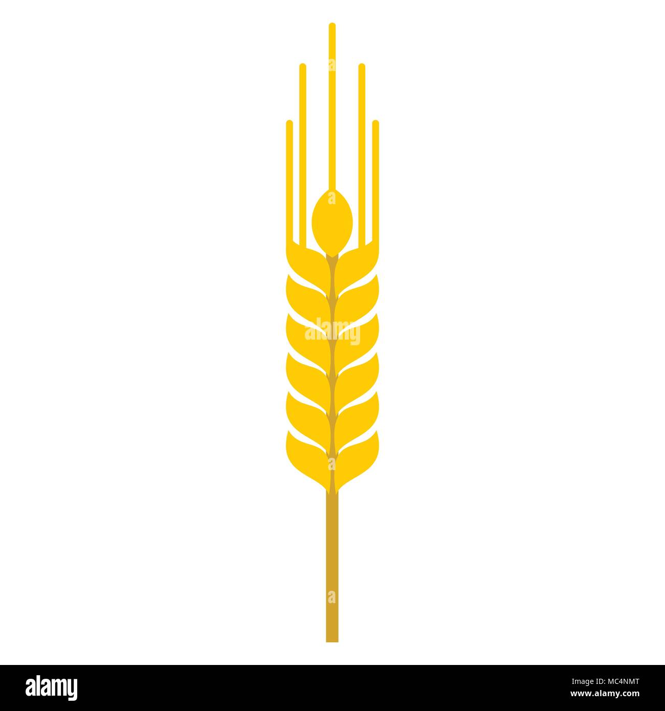 Ear of barley icon, flat style Stock Vector Image & Art - Alamy