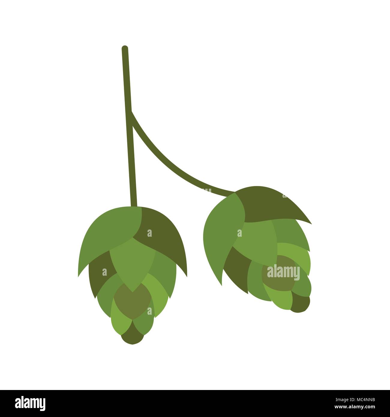 Hop cone icon, flat style Stock Vector Image & Art - Alamy