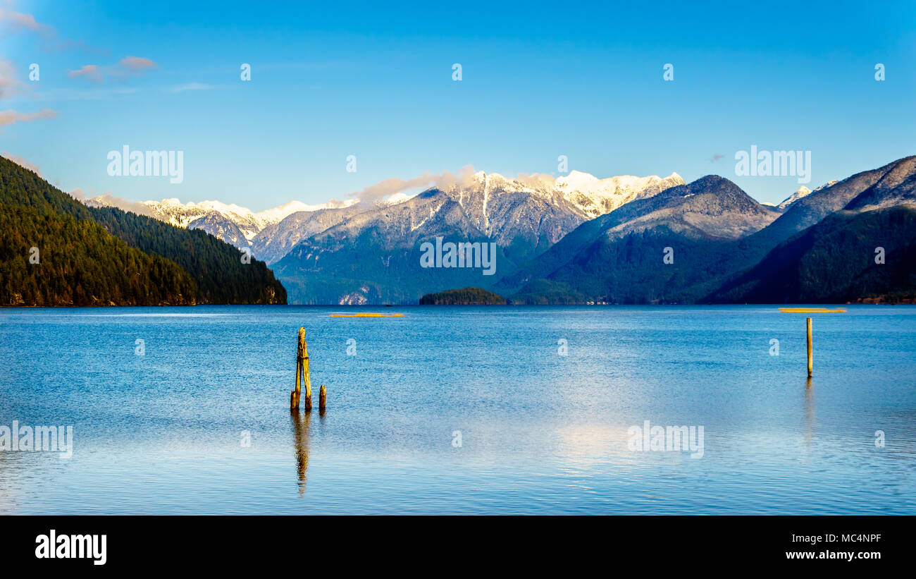 Pitt Lake with the Snow Capped Peaks of the Golden Ears, Tingle Peak ...