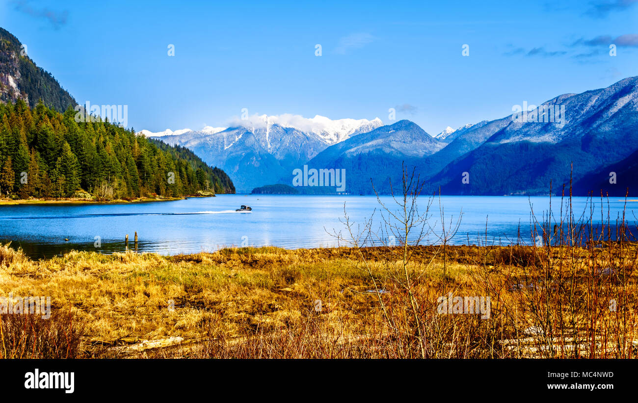 Fishing Boat heading up Pitt Lake with the Snow Capped Peaks of the ...