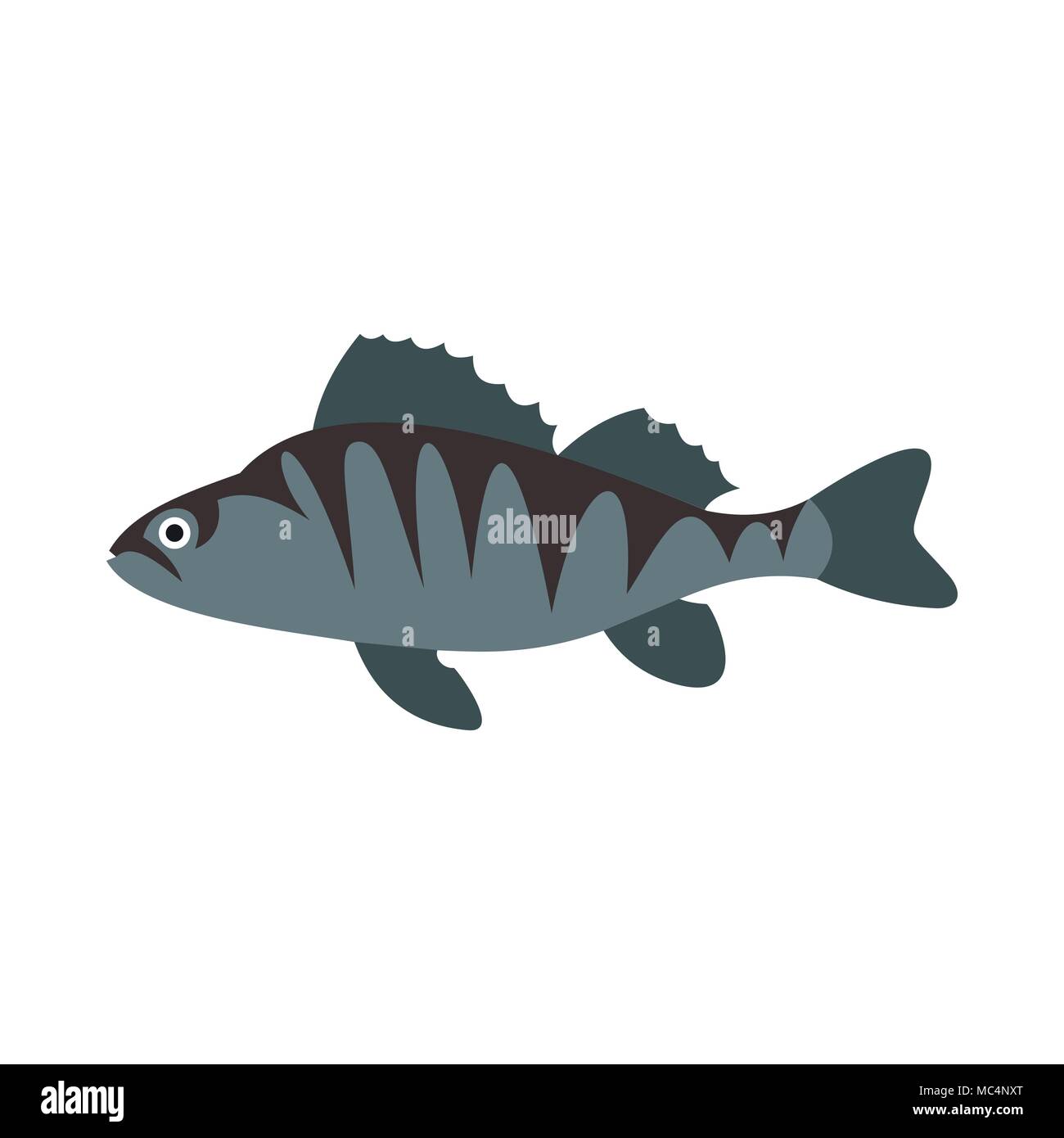 Diving perch Stock Vector Images - Alamy
