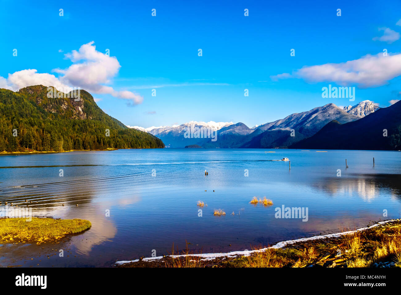 Fishing Boat heading up Pitt Lake with the Snow Capped Peaks of the ...