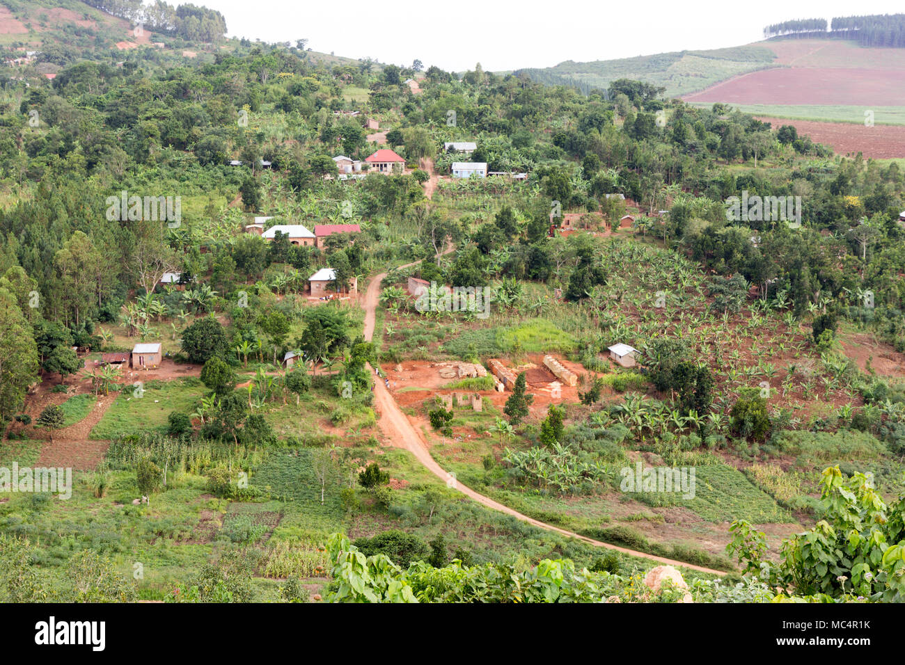 Lugazi, Uganda. June 18 2017. A rural village as seen from the top of a ...