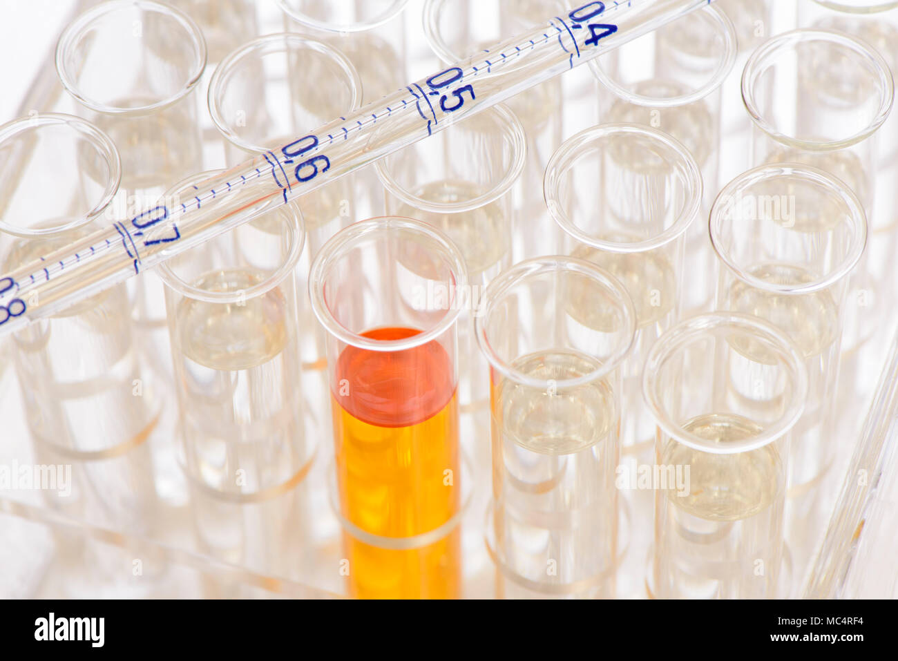 scientific experiment in chemistry laboratory with liquid in test tubes ...