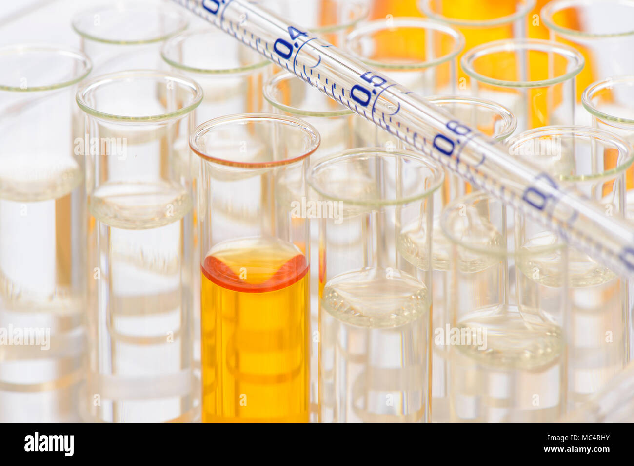 scientific experiment in chemistry laboratory with liquid in test tubes ...