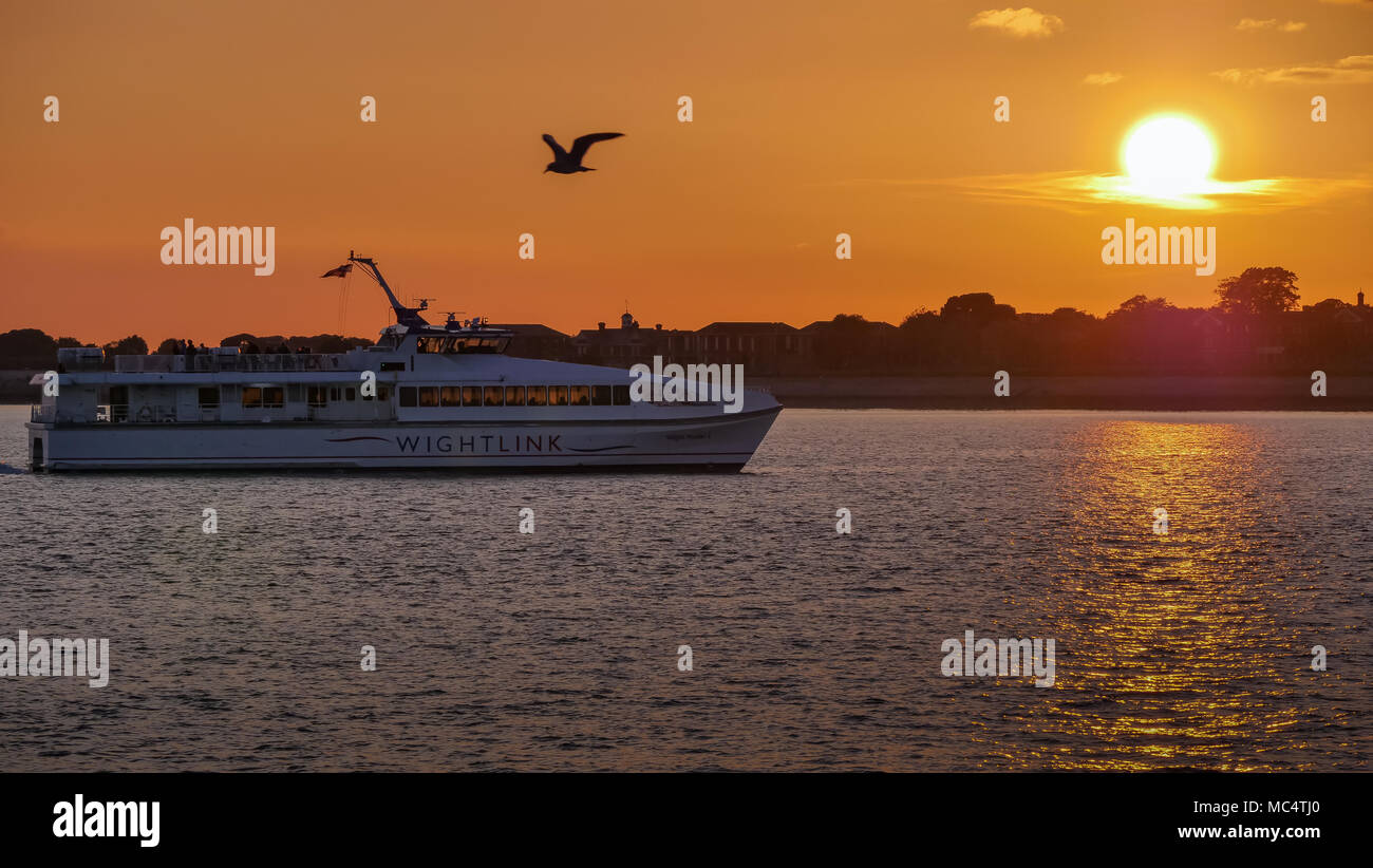 Fastcat hi-res stock photography and images - Alamy