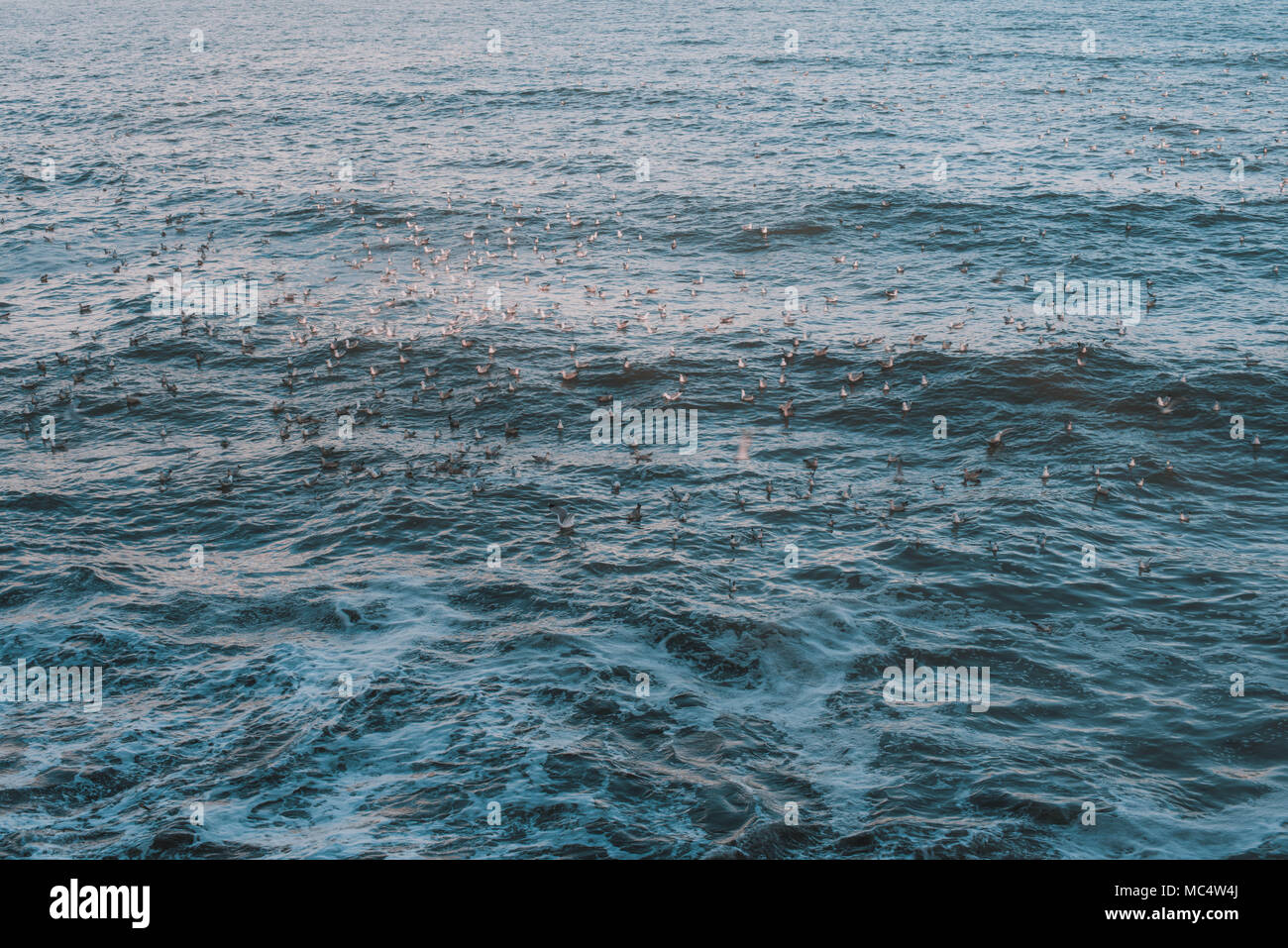 Cornwall slow water hi-res stock photography and images - Alamy