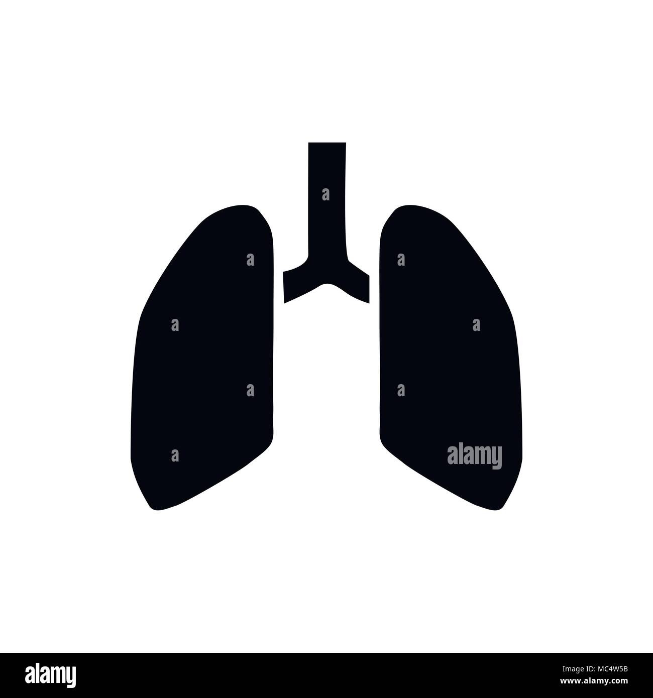 Human lungs section Stock Vector Images - Alamy