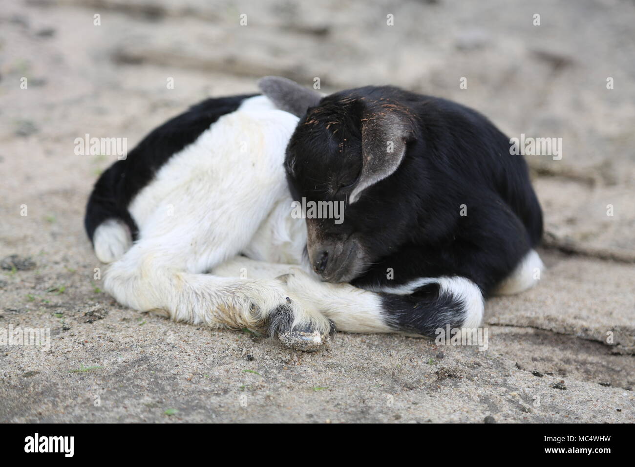 Sleepy baby hi-res stock photography and images - Alamy