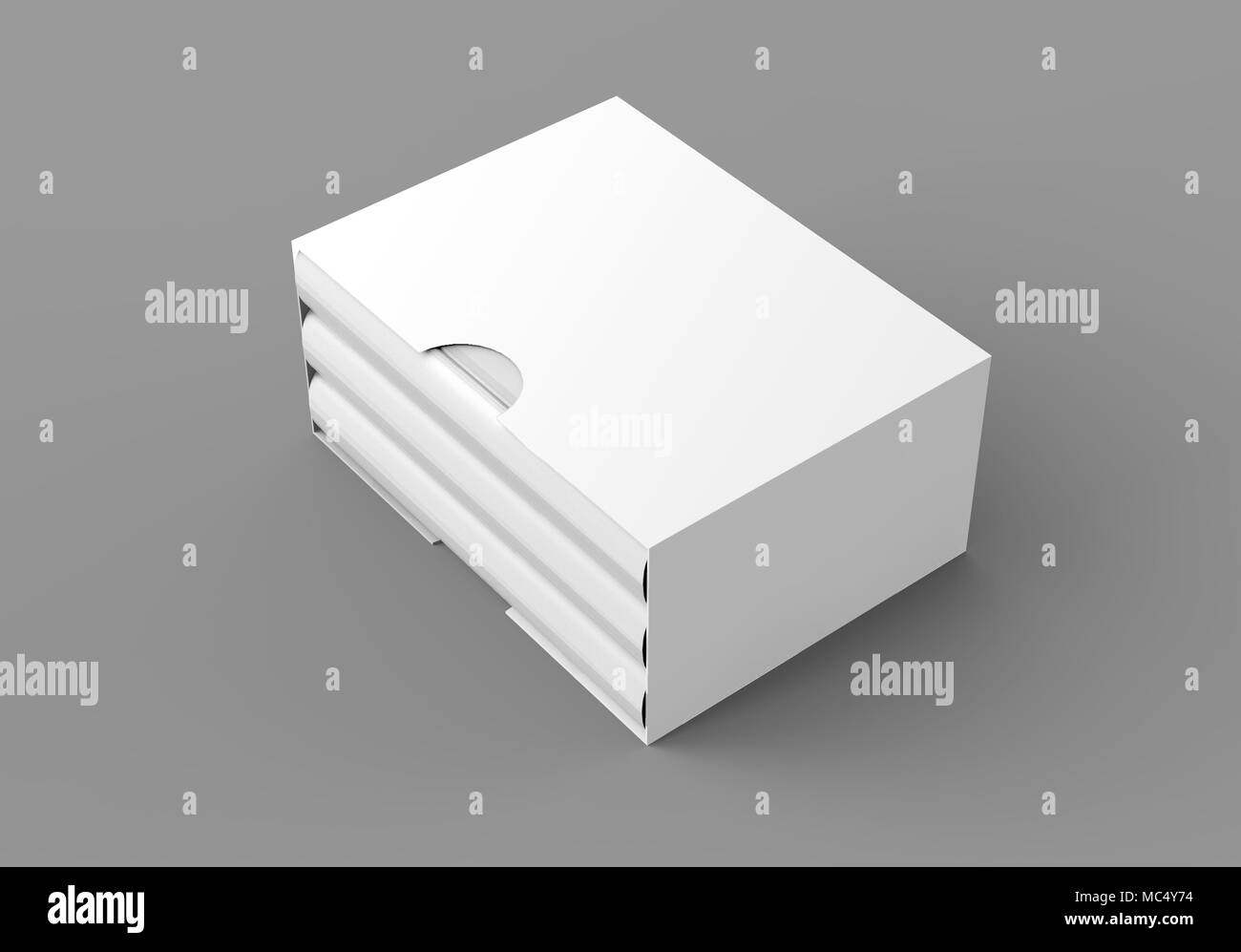 Blank book with cardboard box cover, set of books in case in 3d render ...