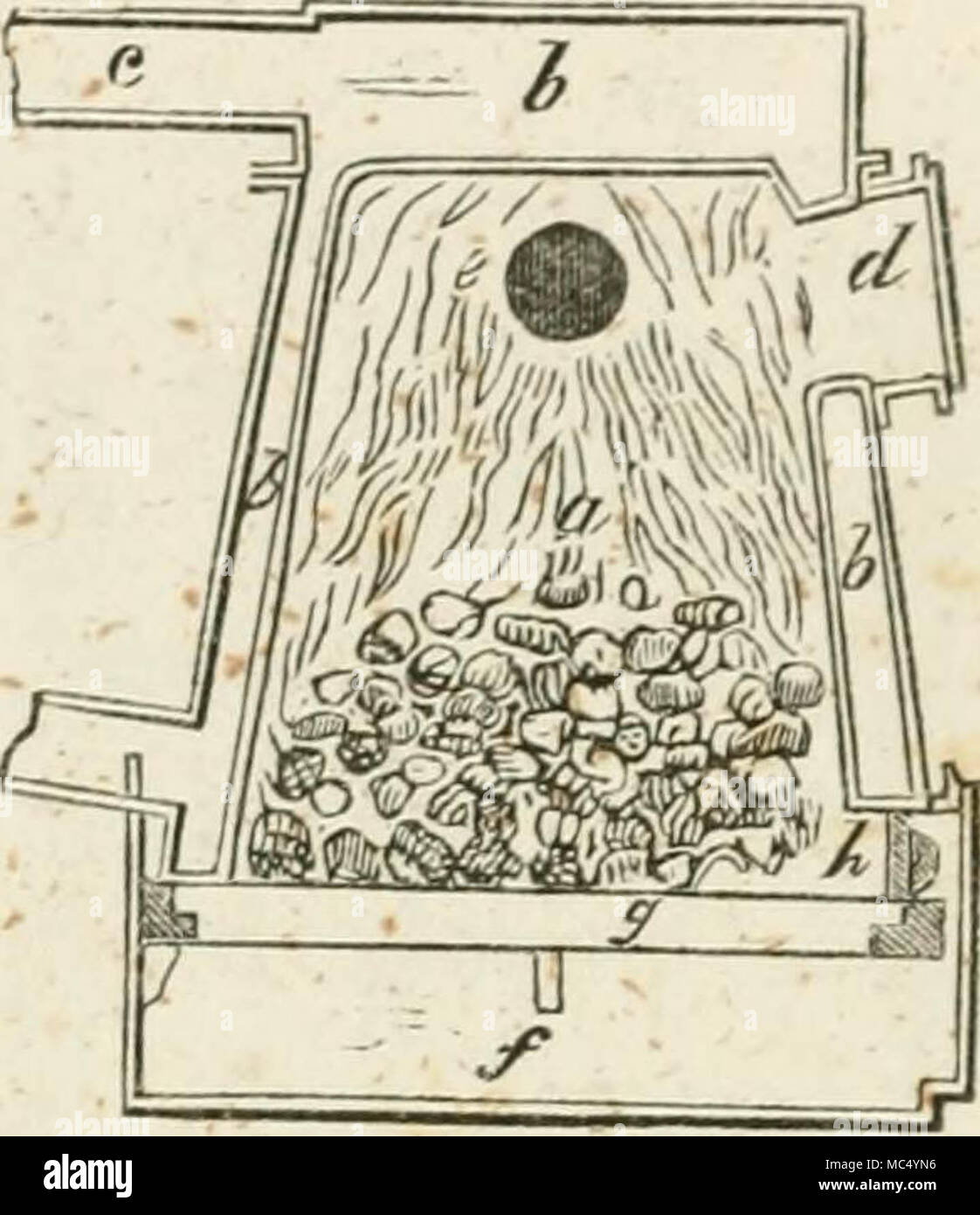 "The fruit, flower, and kitchen garden" (1851 Stock Photo - Alamy