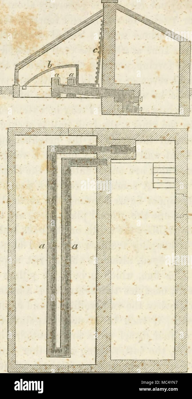 "The fruit, flower, and kitchen garden" (1851 Stock Photo - Alamy
