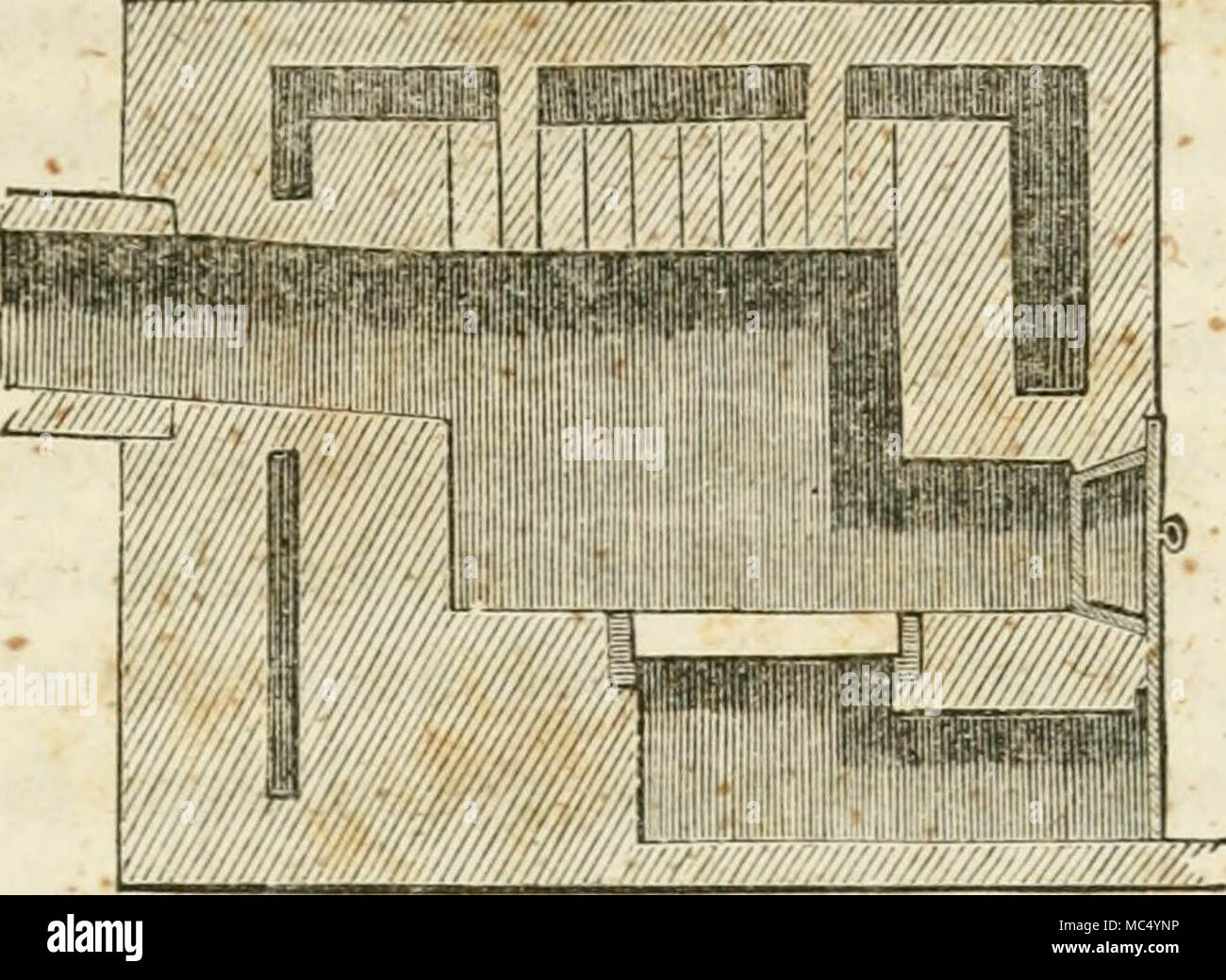 "The fruit, flower, and kitchen garden" (1851 Stock Photo - Alamy