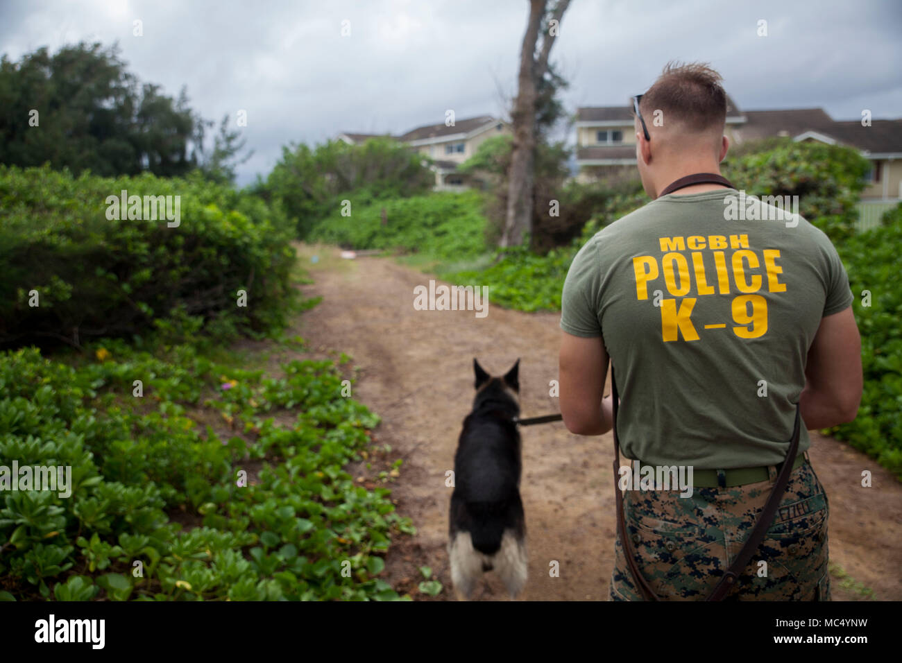 Cpl. Stevie Ezzell, a military working dog handler with the K-9 Unit ...