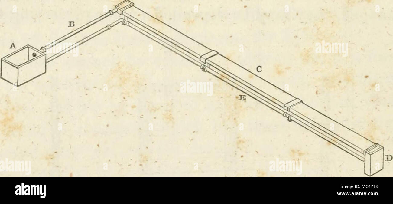 "The fruit, flower, and kitchen garden" (1851 Stock Photo - Alamy