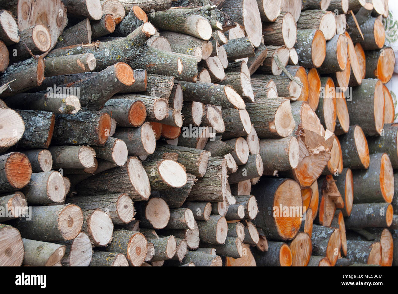 Firewood piled hi-res stock photography and images - Alamy