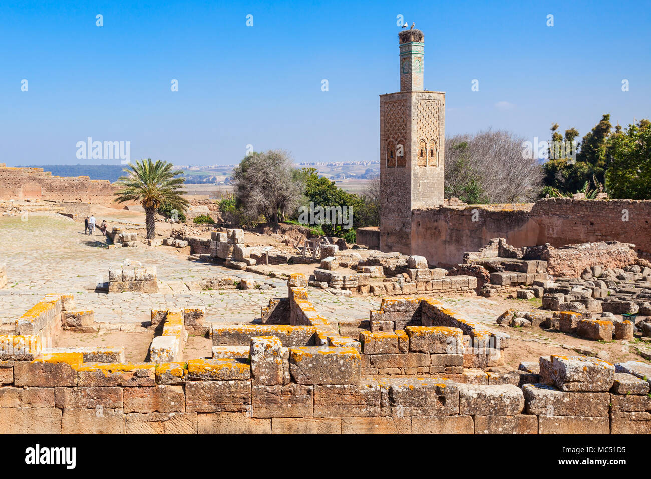Rabat Chellah ruins. Chellah is a medieval fortified necropolis located ...