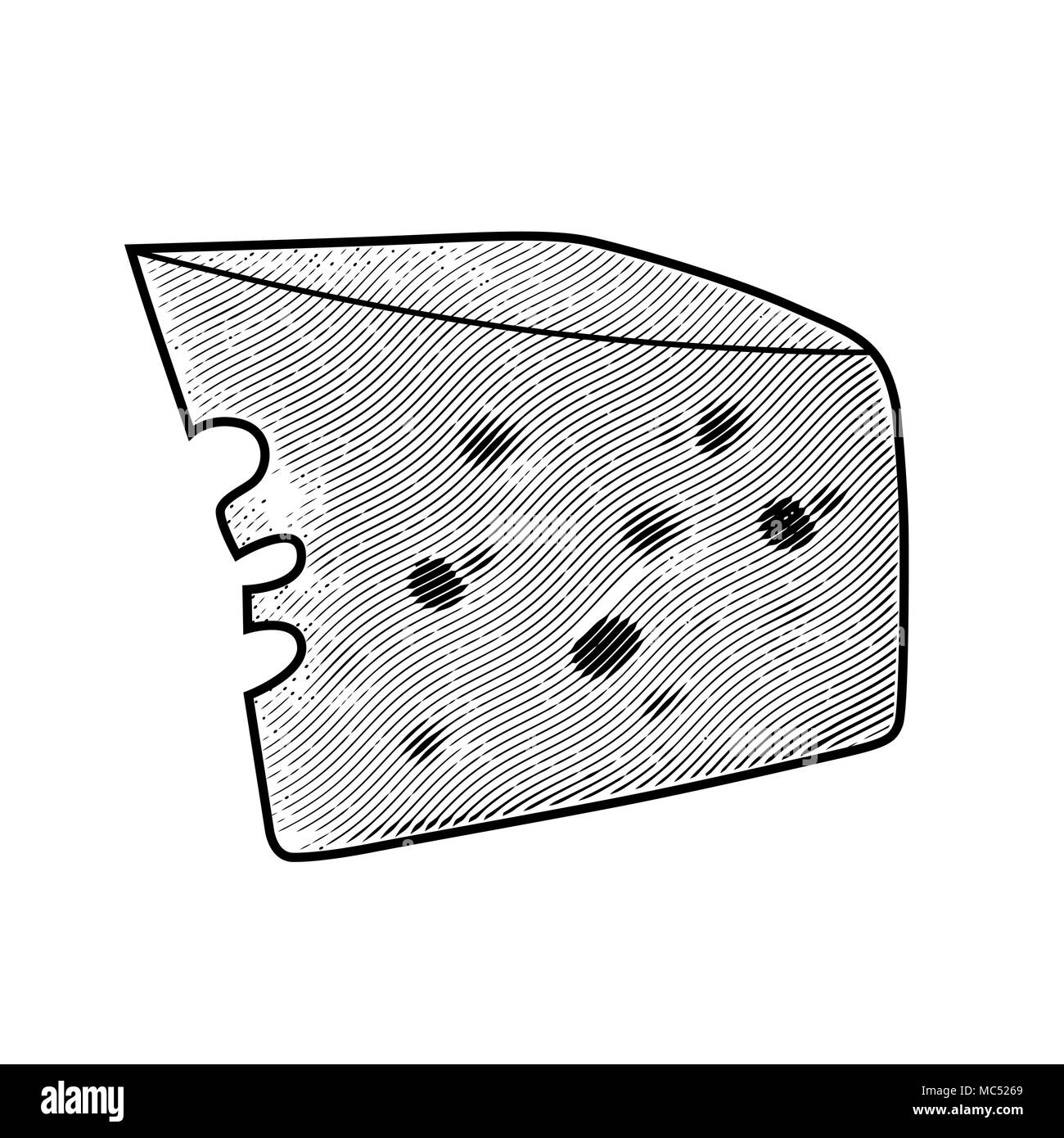 Parmesan cheese drawing. Vector hand drawn food sketch. Engraved ...