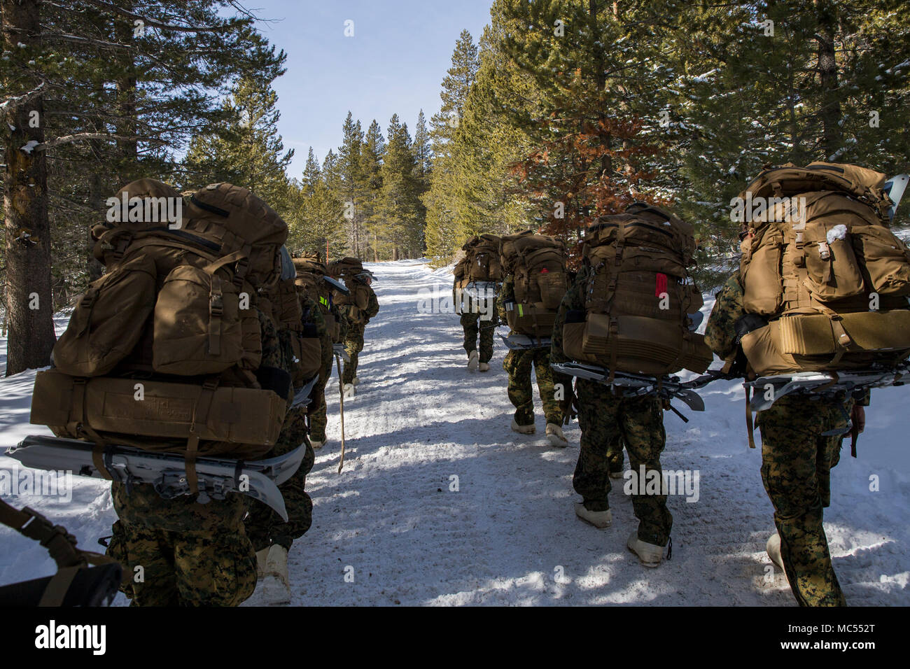 Marines with 2nd Marine Logistics Group participate in a hike at Marine ...