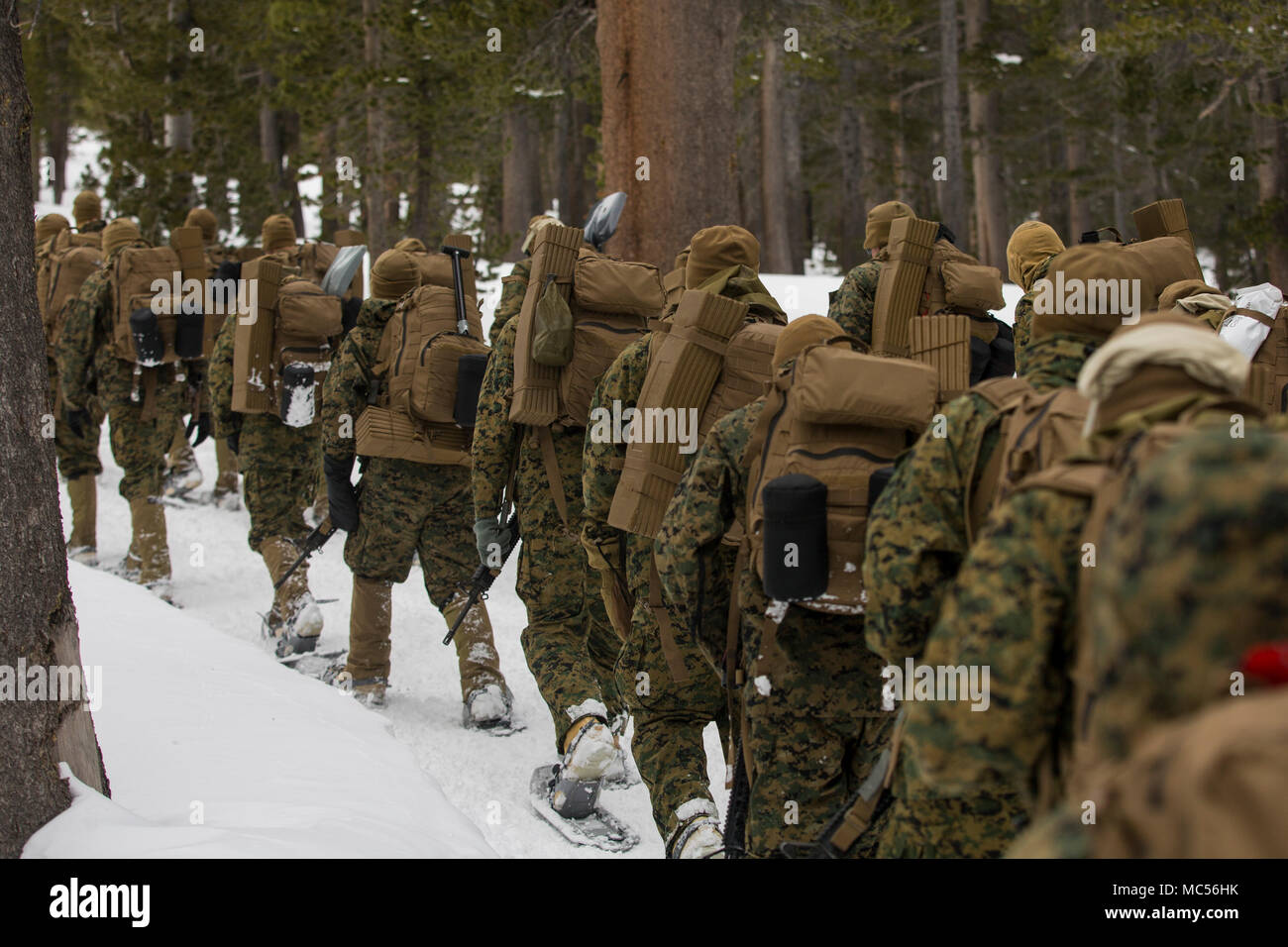 Marines with 2nd Marine Logistics Group hike in snow shoes at Marine ...