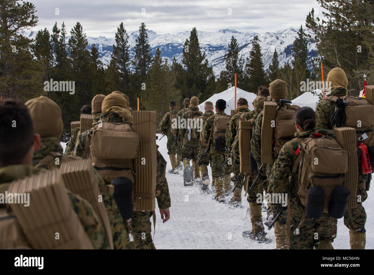 Marines with 2nd Marine Logistics Group hike in snow shoes at Marine ...