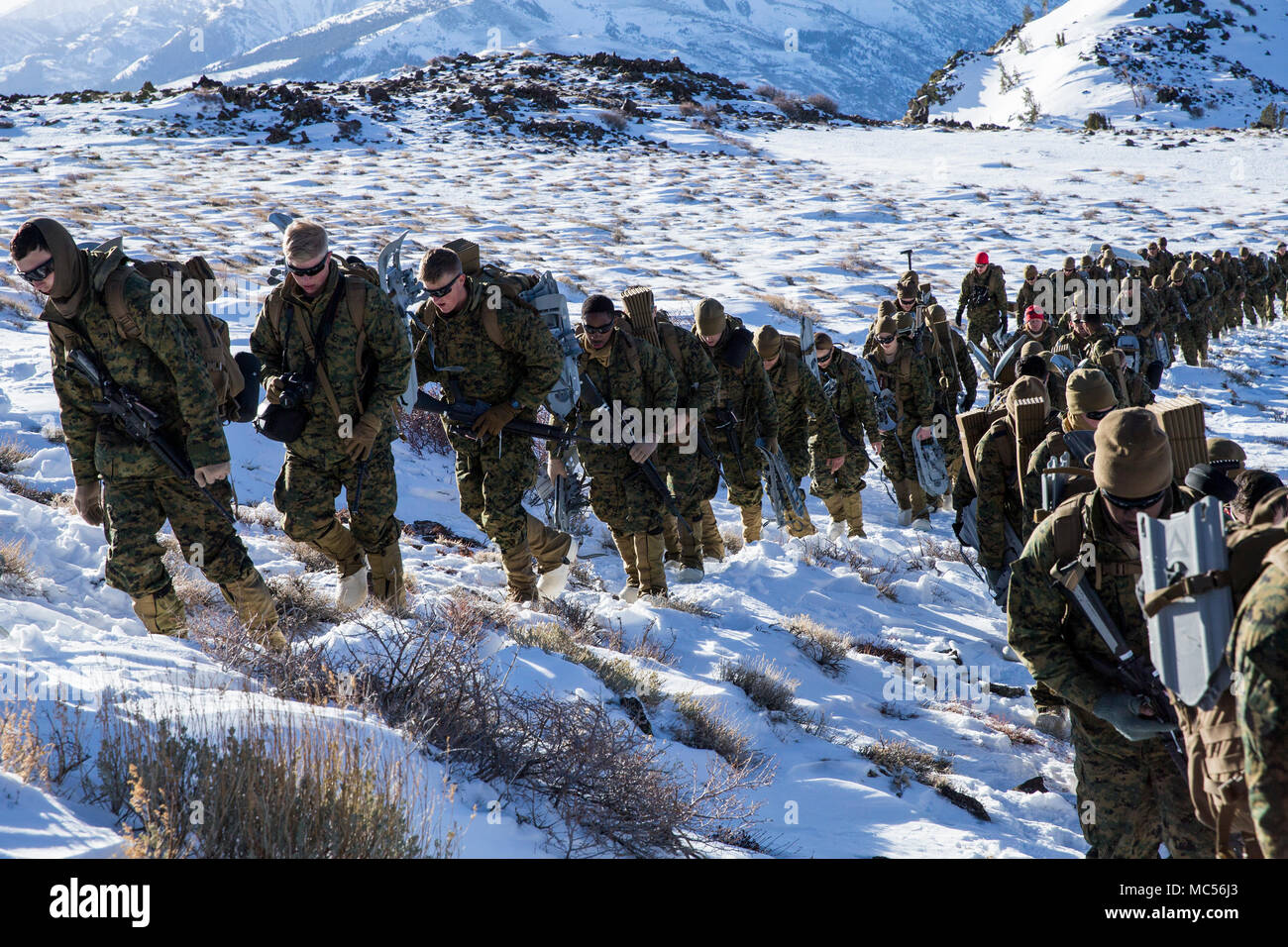 Marines and Sailors with Combat Logistics Regiment 25, 2nd Marine ...