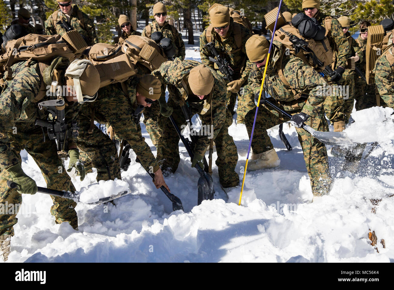 Marines and Sailors with Combat Logistics Regiment 25, 2nd Marine ...