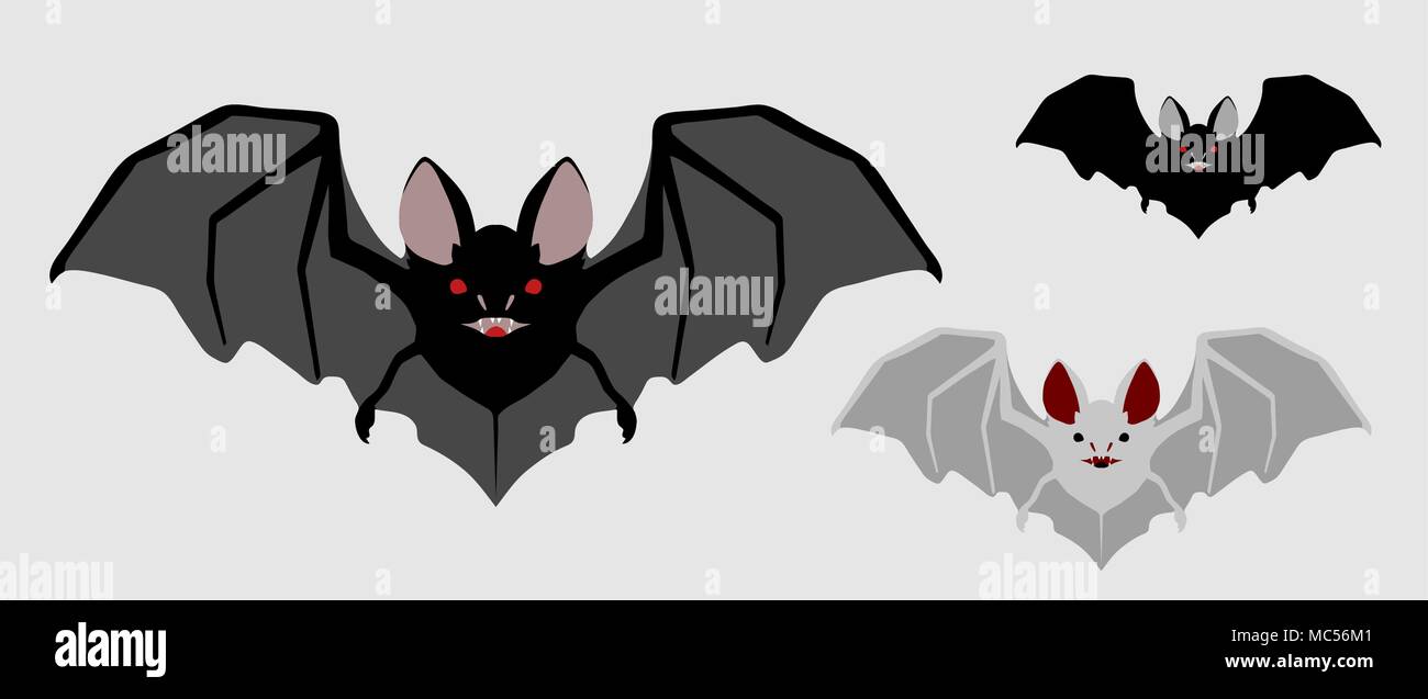 Front view vector bat illustration, several color variants Stock Vector ...