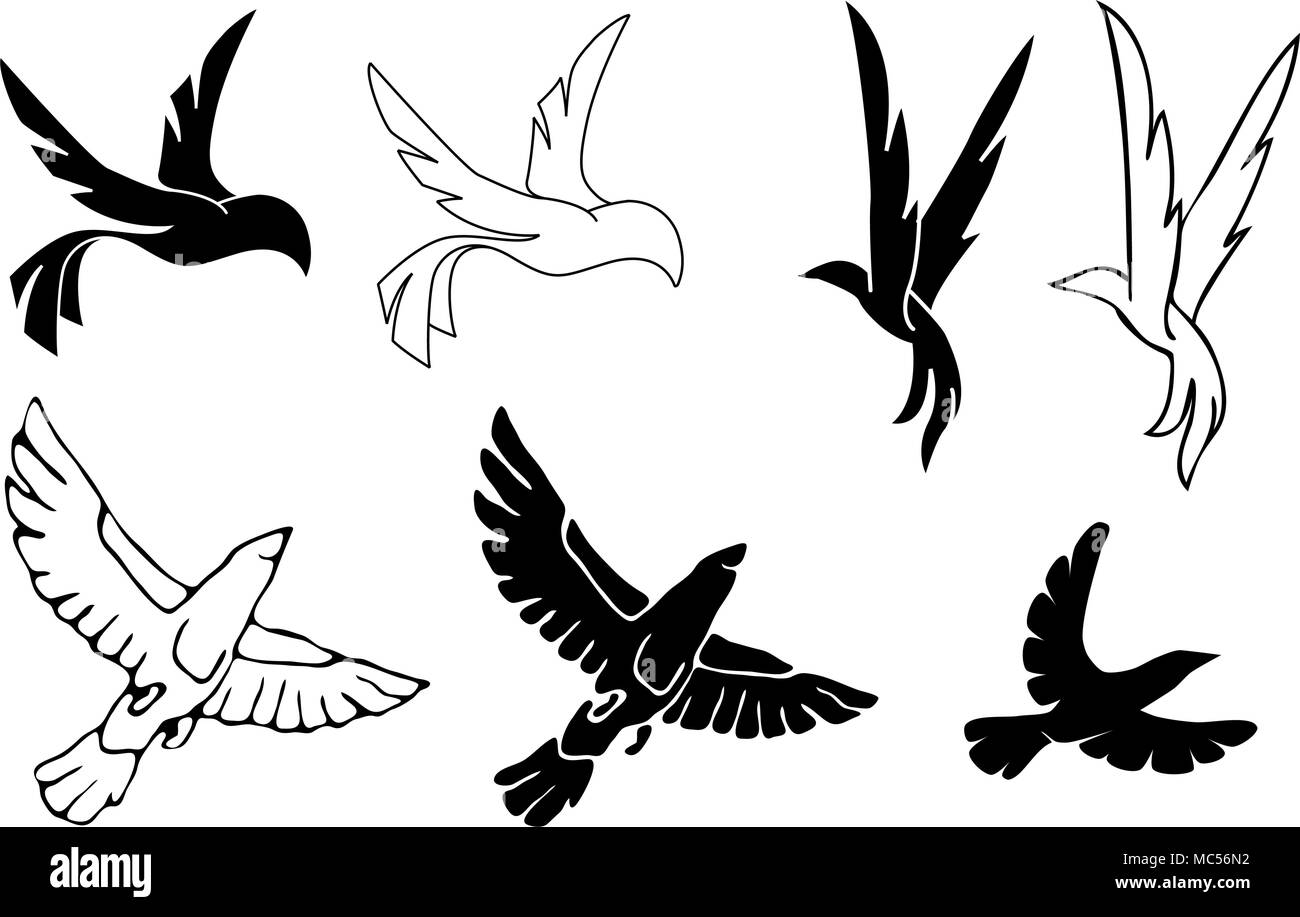 Set of different stylized black and white vector bird design elements ...