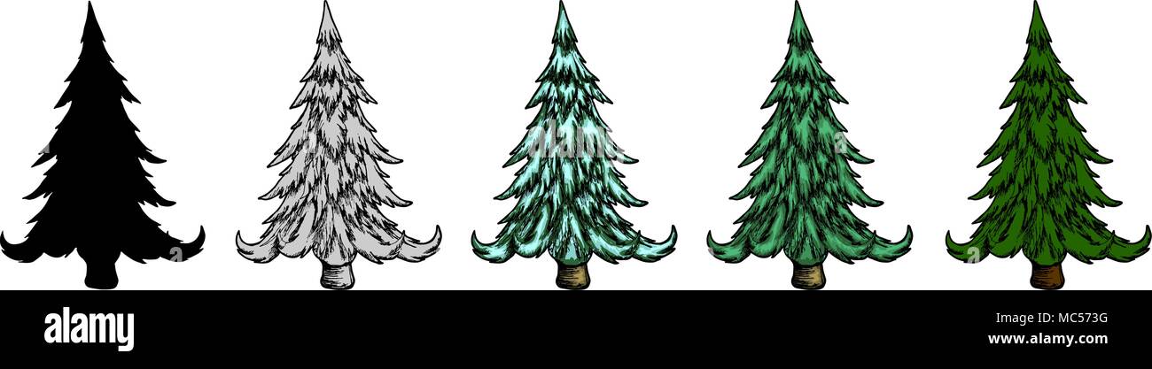 Detailed vector fir trees, hand drawn, several color variations Stock ...