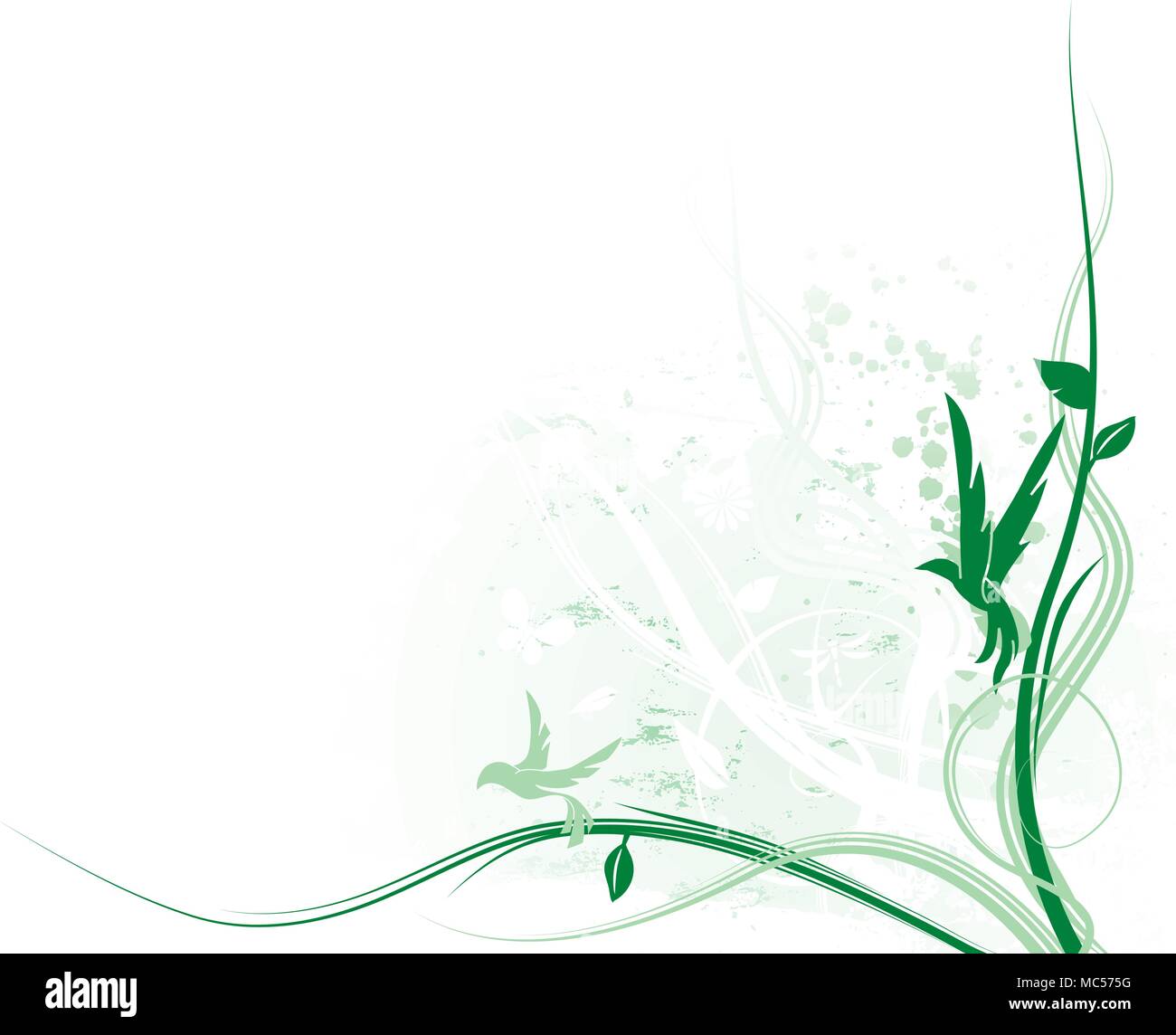 Vector green abstract floral background Stock Vector Image & Art - Alamy