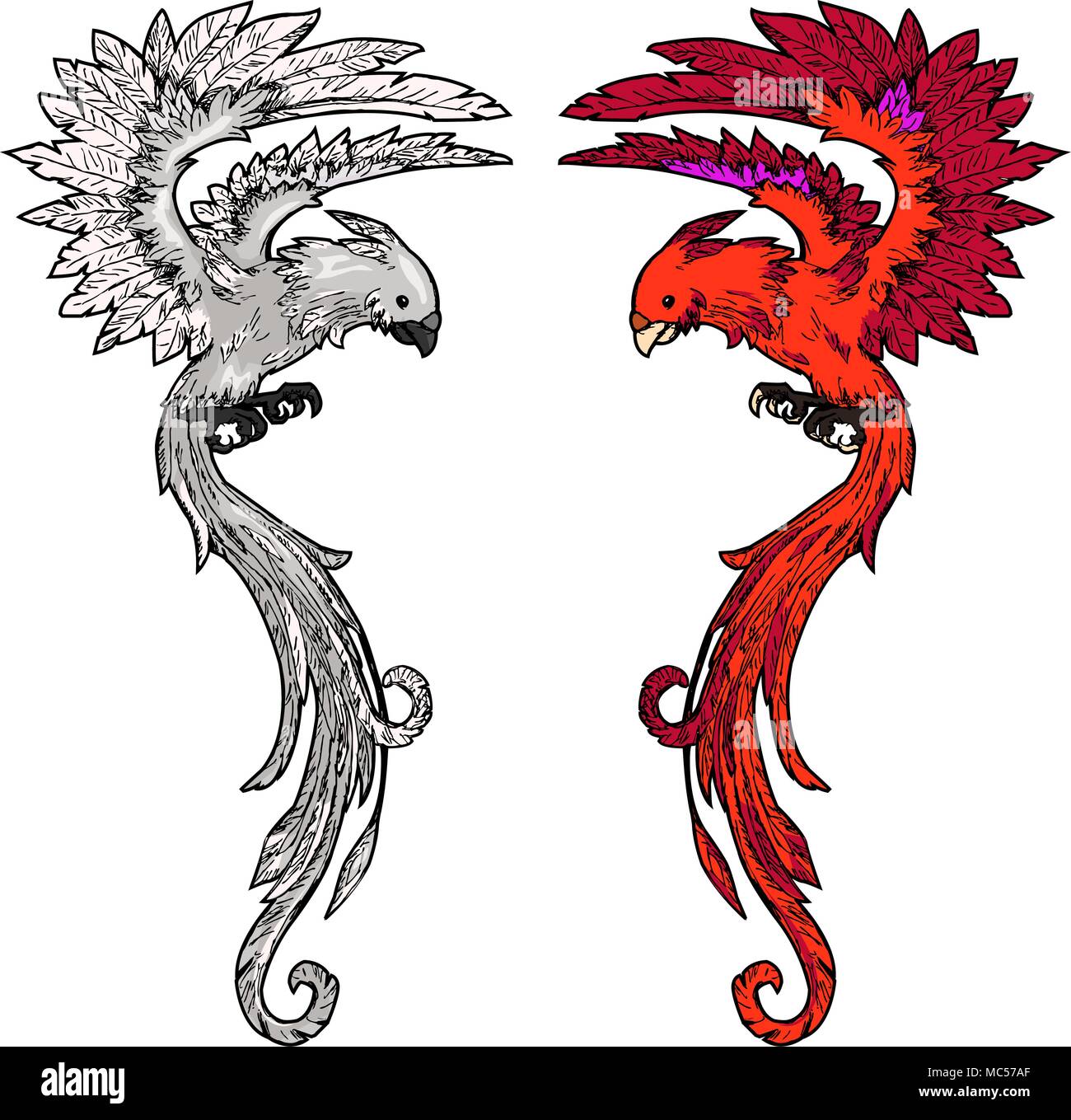 The long tail Stock Vector Images - Alamy