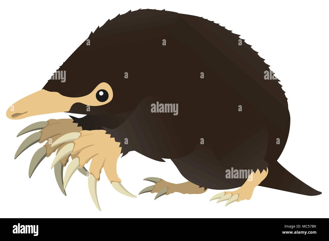 Cartoon Mole High Resolution Stock Photography and Images - Alamy