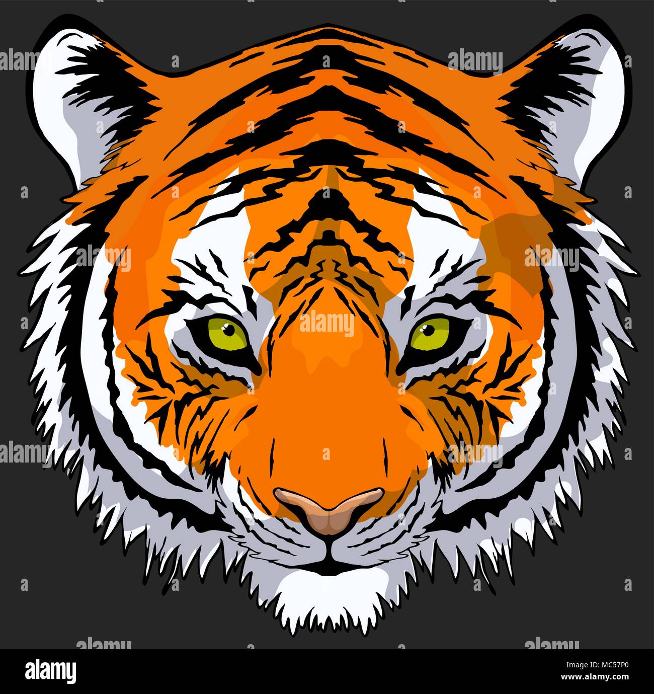 Hand drawn tiger head front view, vector Stock Vector Image & Art - Alamy