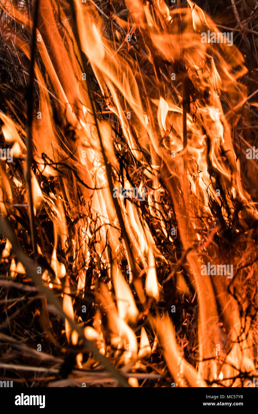 Fire destroys underbrush at Barksdale Air Force Base, La., Jan. 31 ...