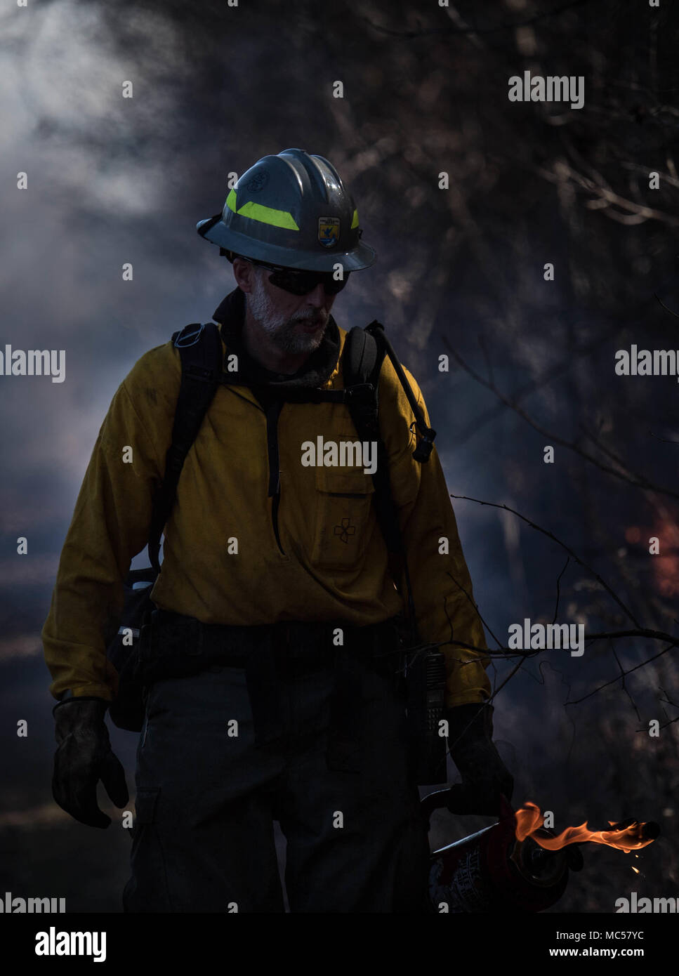 Andrew Addie, wildland firefighter, uses a torch to start a test fire ...